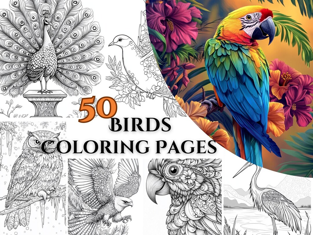 50 Bird Coloring Pages – Inspiring Animal Coloring, Relaxing Nature ...