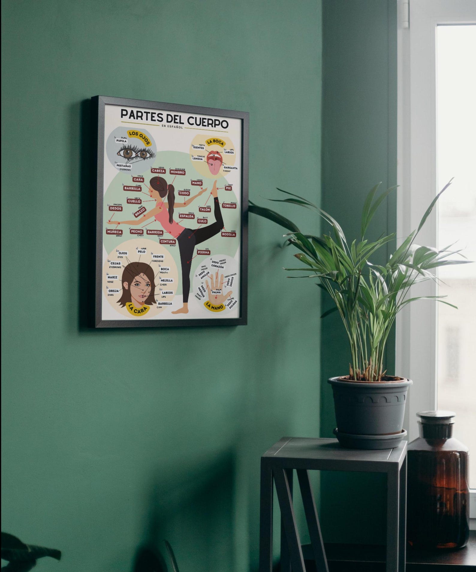 Spanish Body Parts Poster: Bilingual Educational Print (digital ...