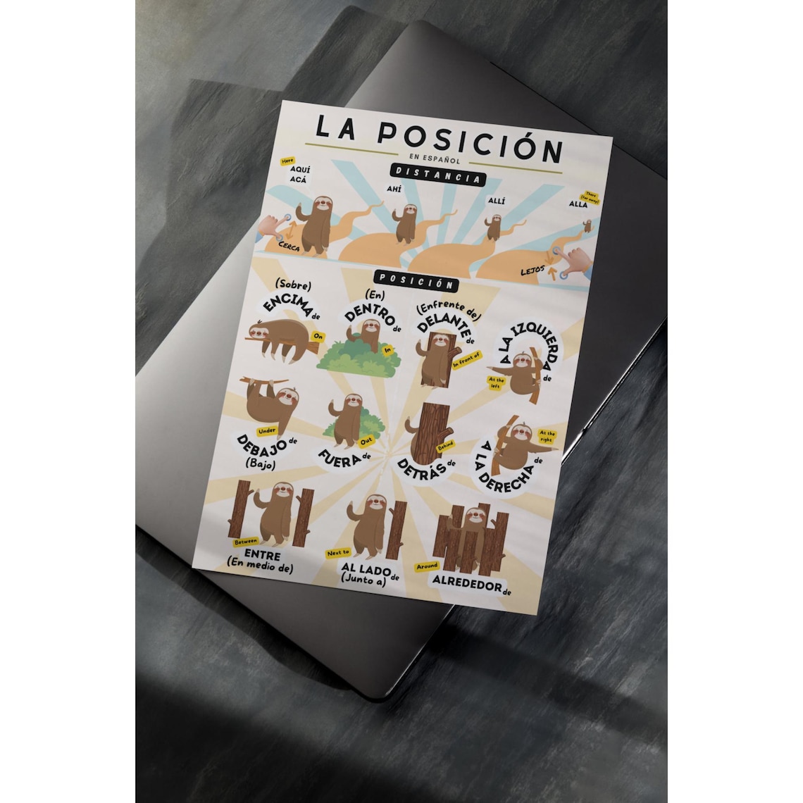Spanish Prepositions Poster: Sloth Illustrations for Kids (digital ...
