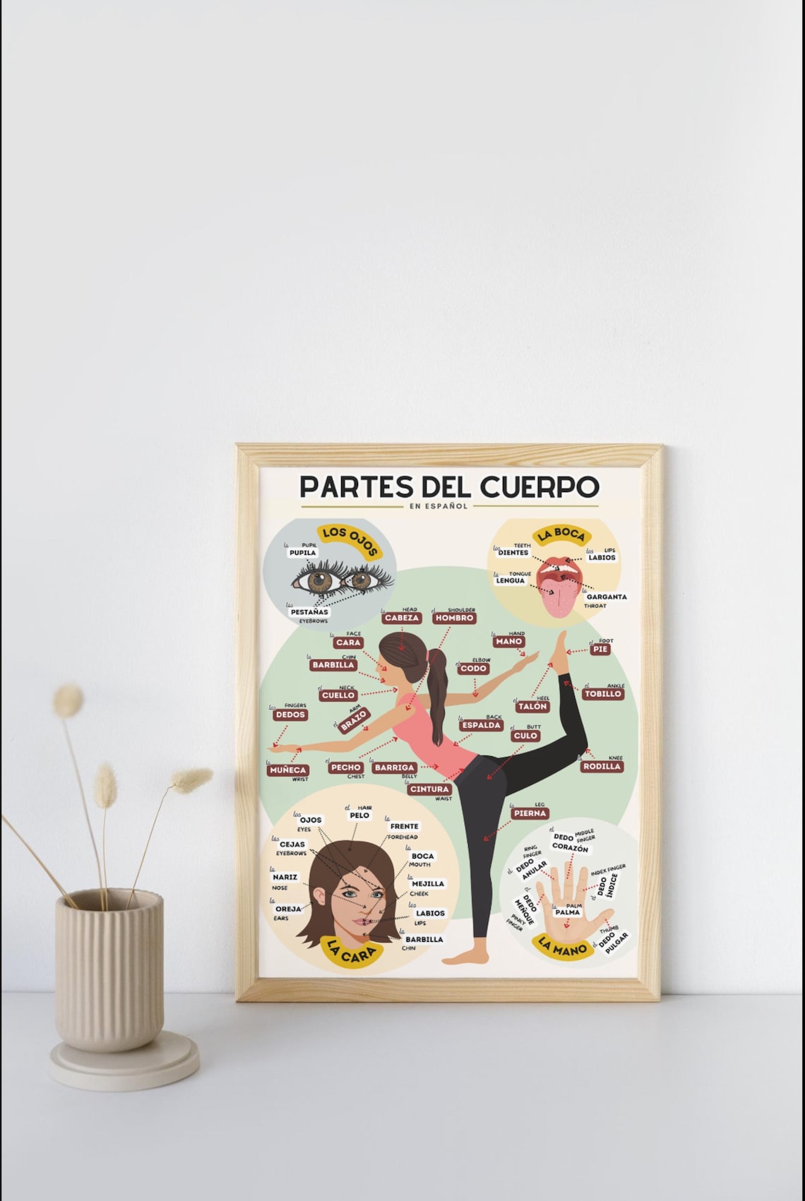 Spanish Body Parts Poster: Bilingual Educational Print (digital ...