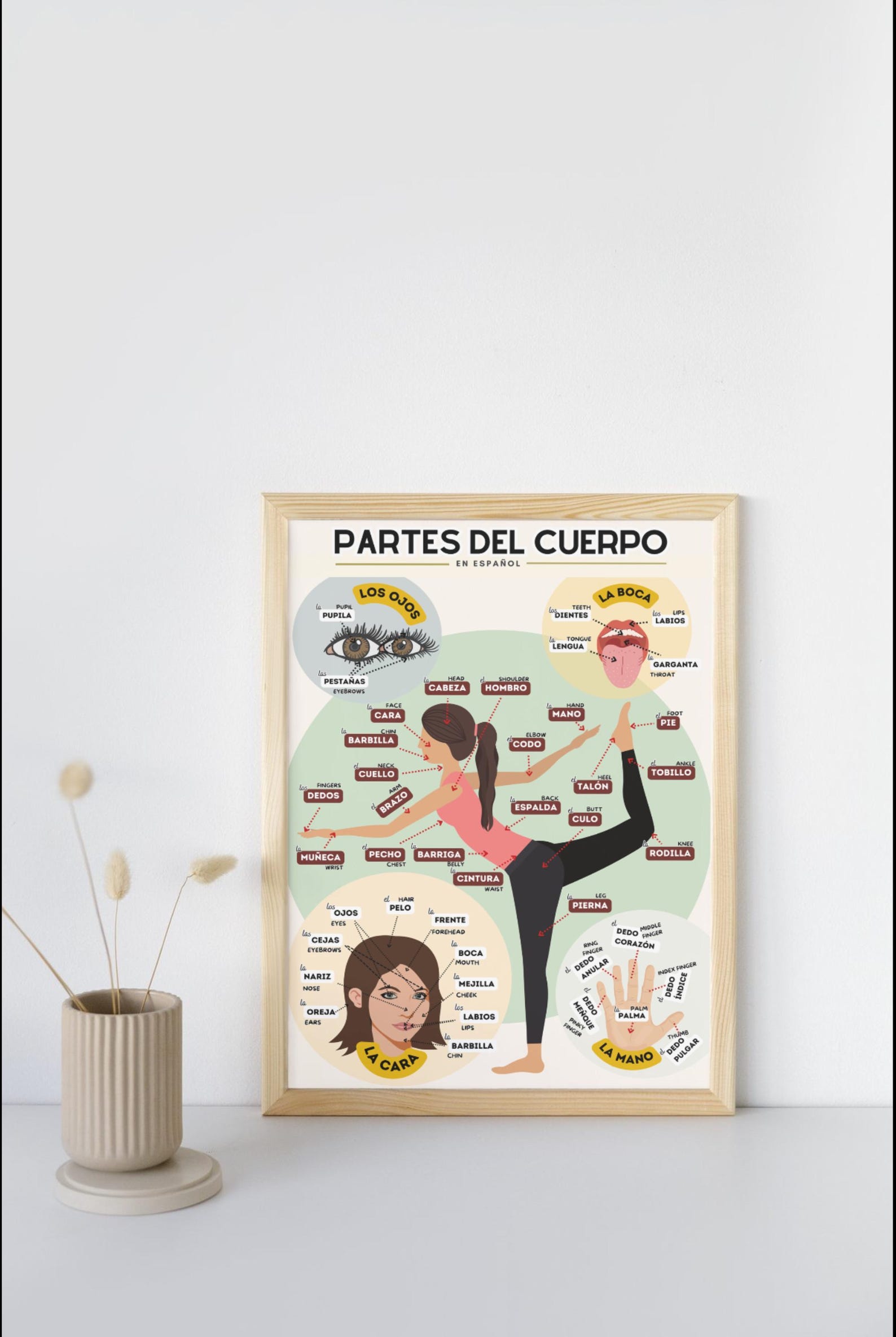 Spanish Body Parts Poster: Bilingual Educational Print (digital ...
