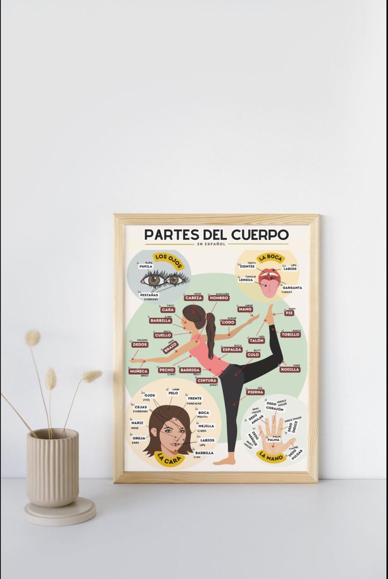 Spanish Body Parts Poster: Bilingual Educational Print (digital ...