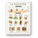 Spanish Prepositions Poster: Sloth Illustrations for Kids (digital ...