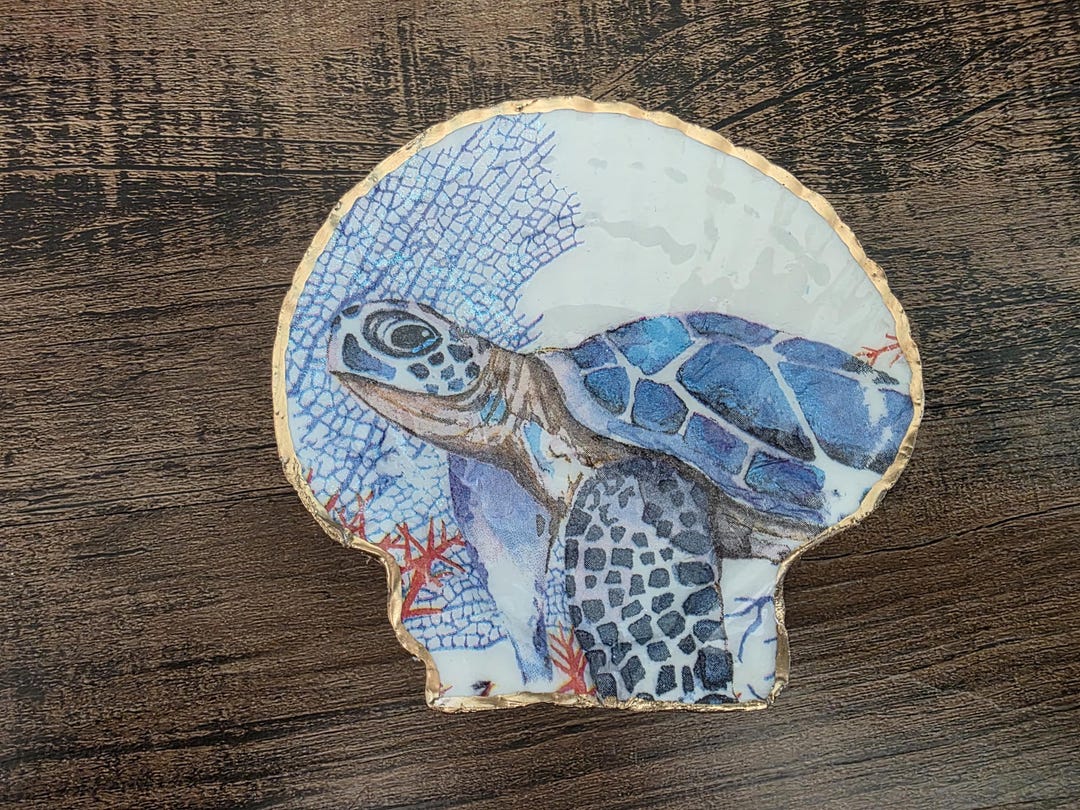 Decoupage Shell - Sea Turtle With Sea Fans - Etsy