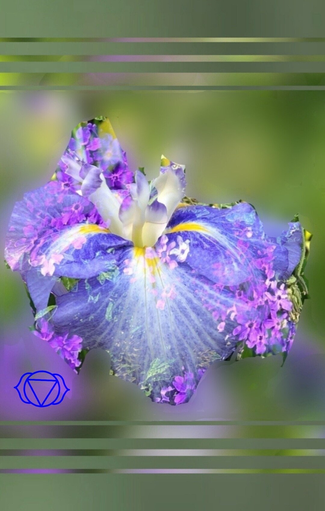 Flower Photo / 6th Chakra Symbol / 3rd Eye/ Digital Print Image ...