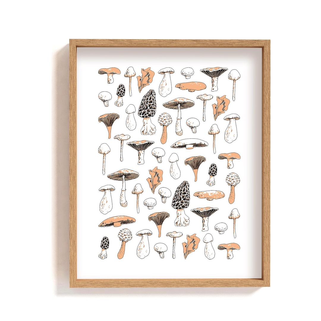 Framed Mushroom Assortment Art Poster | Mushroom Illustration Print ...