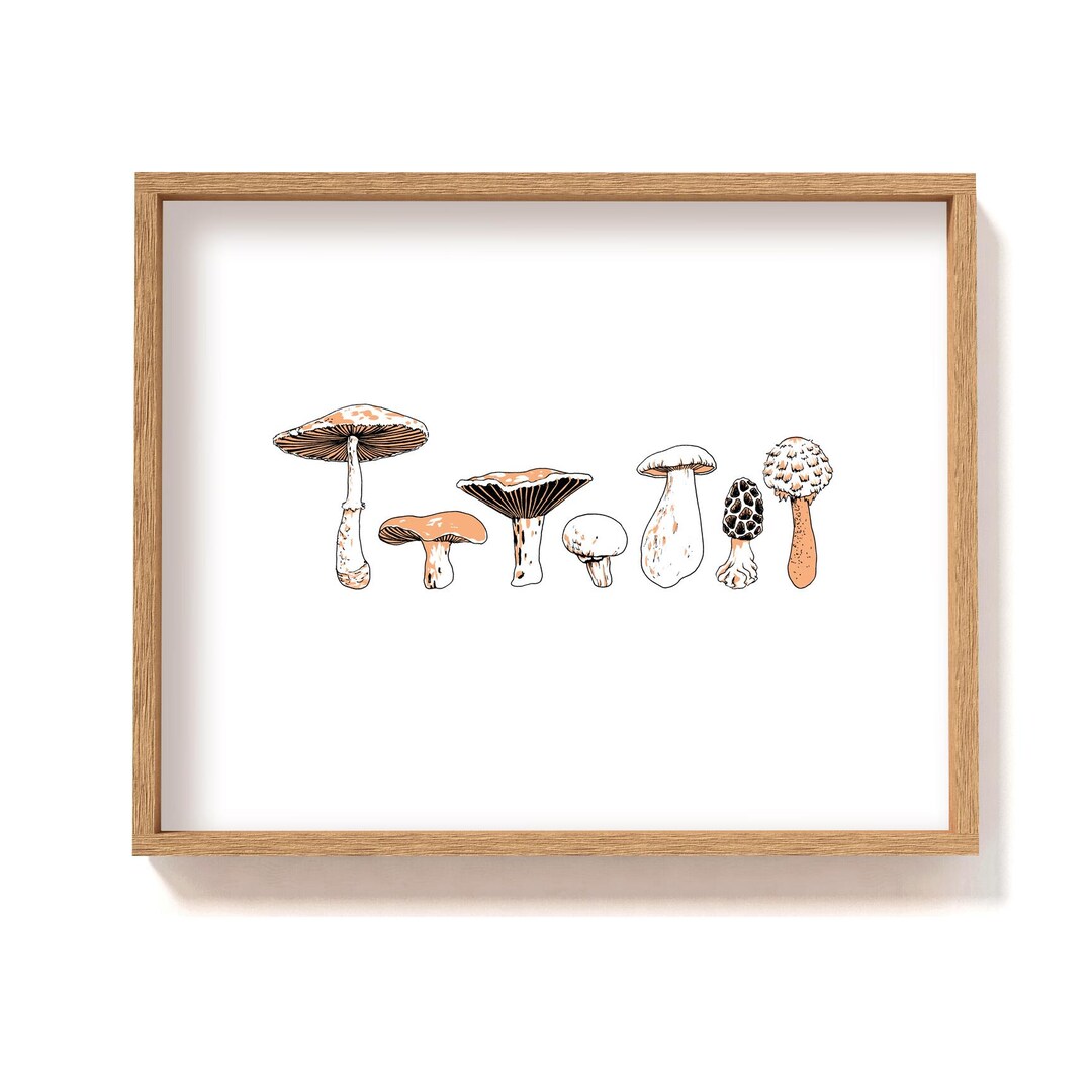 Framed Mushroom Assortment Art Poster | Mushroom Illustration Print ...