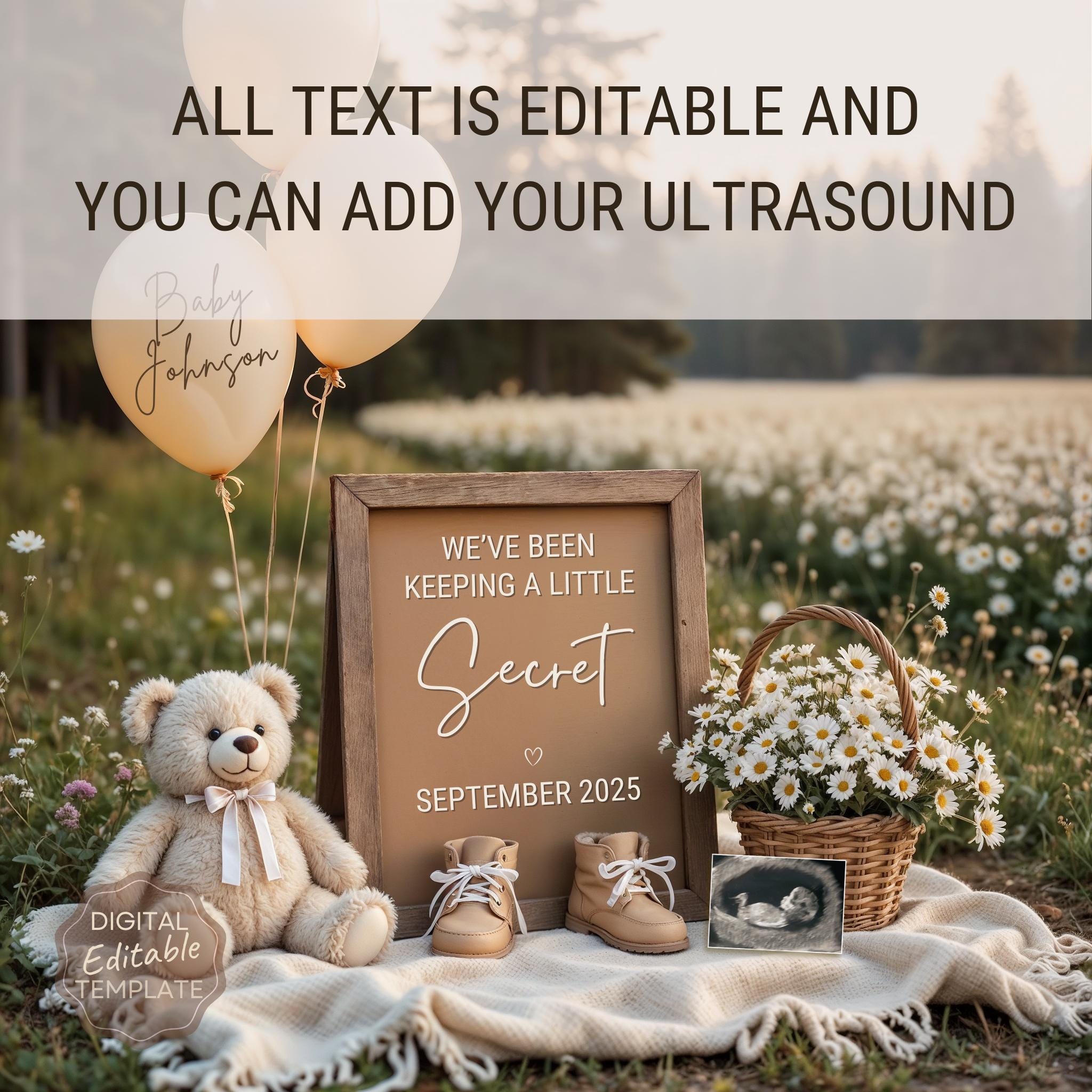 Secret Pregnancy Announcement Digital, We’ve Been Keeping a Secret ...