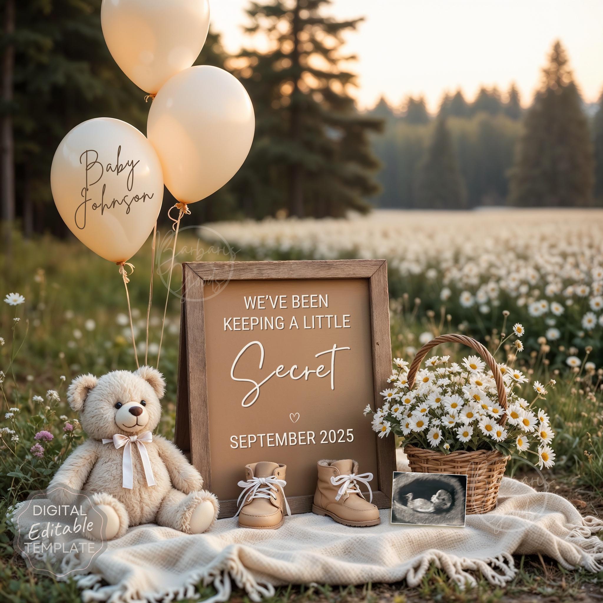 Secret Pregnancy Announcement Digital, We’ve Been Keeping a Secret ...