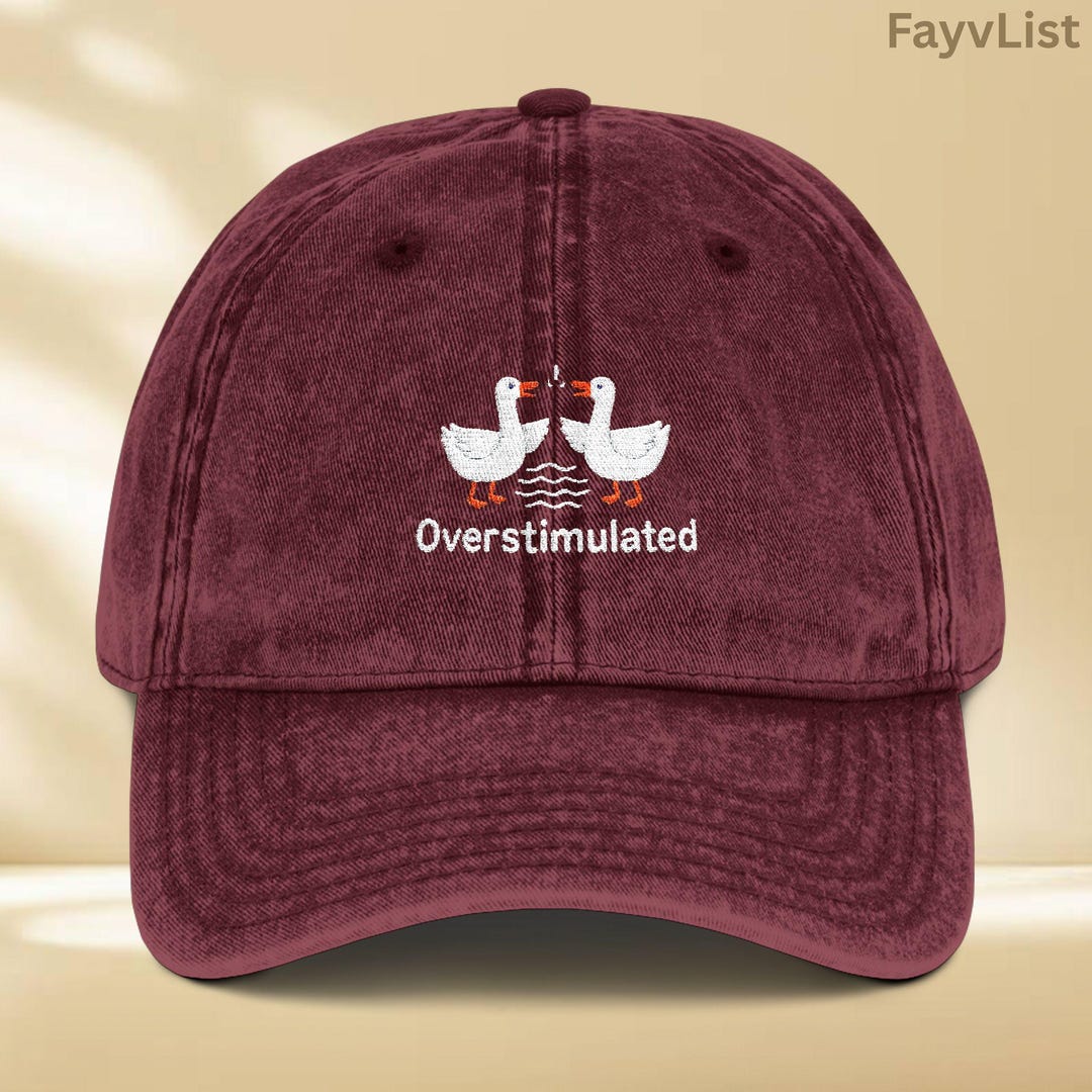 Vintage Embroidered Hat With Silly Geese, Overstimulated Hat, Funny ...