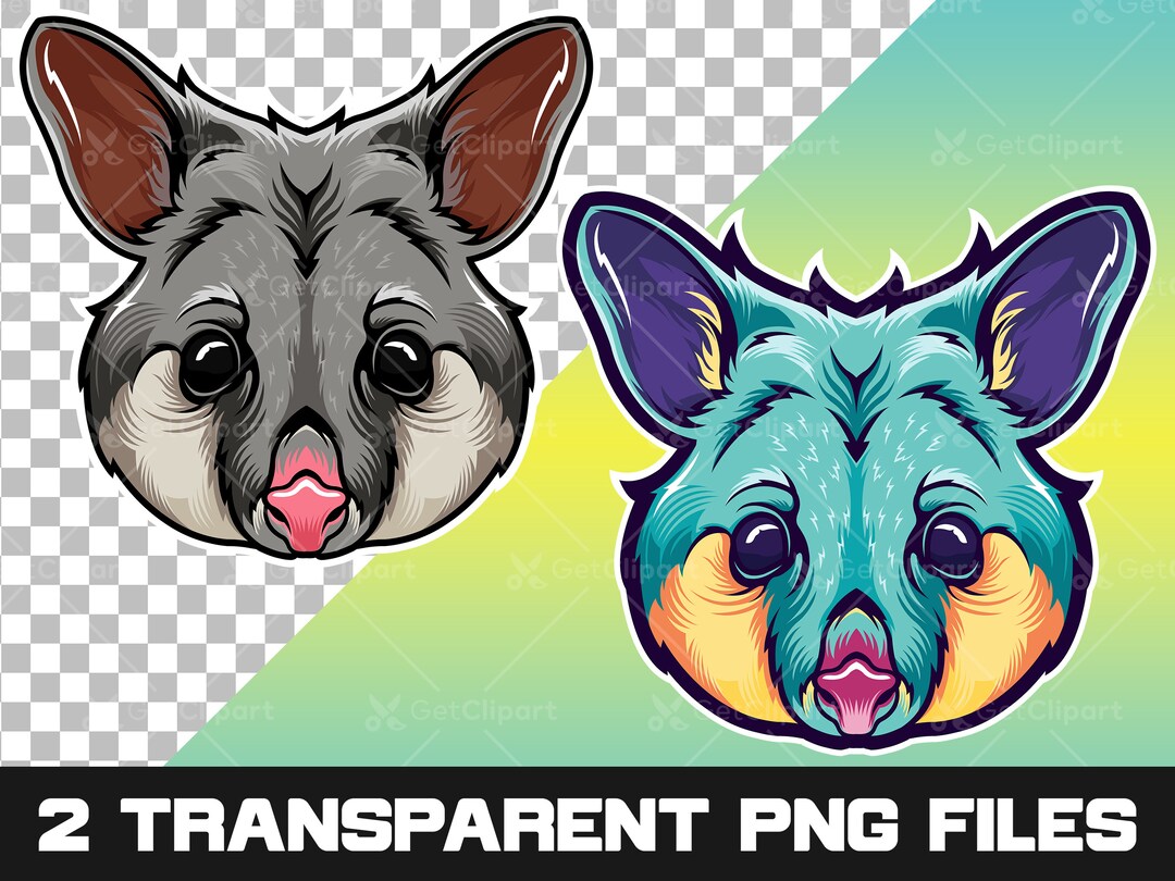 Brushtail Possum Clipart Opossums Nocturnal Marsupial - Etsy