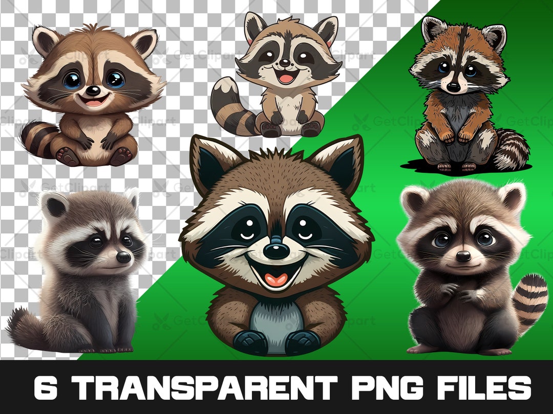Raccoon Clipart Woodland Animals Cute Raccoon PNG - Etsy Canada