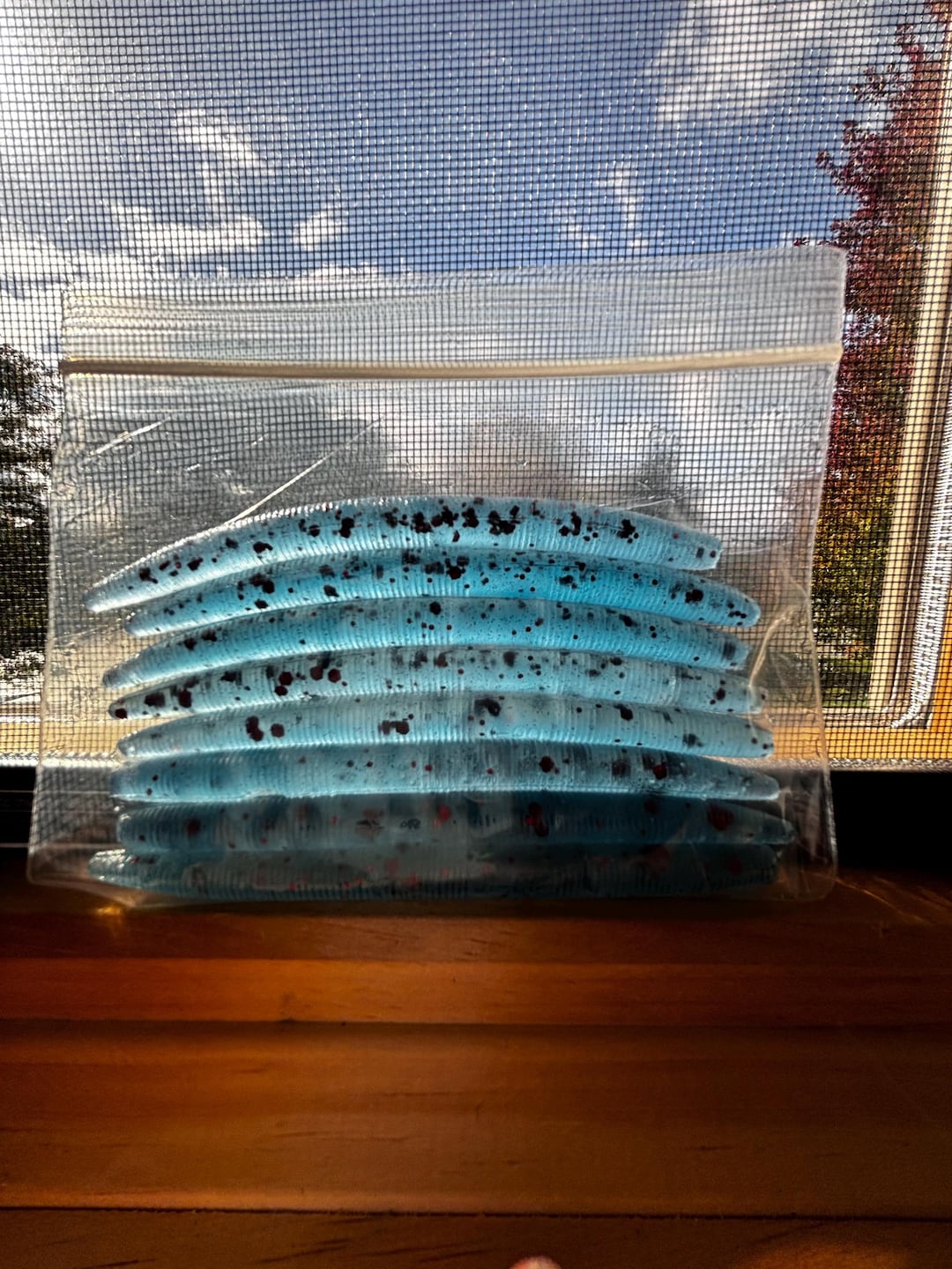 5" Sky Blue Senkos, 8 Pack, Soft Plastic Bait, Bass Fishing - Etsy