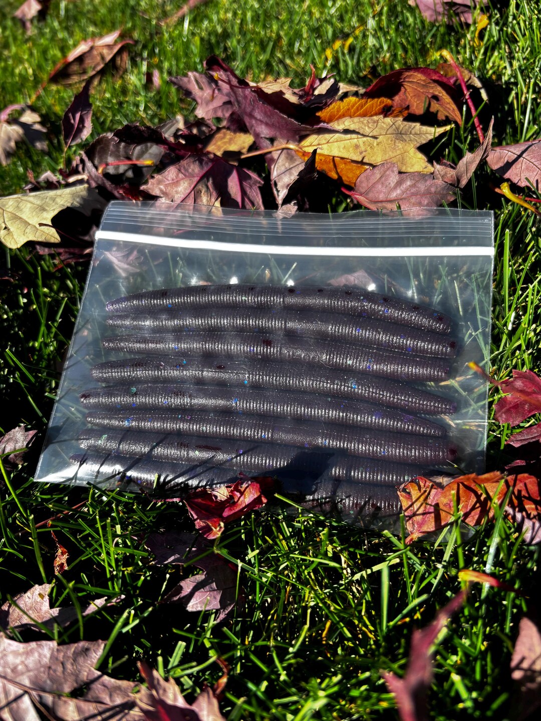 5" June Bug Senkos, 8 Pack, Soft Plastic Bait, Bass Fishing - Etsy