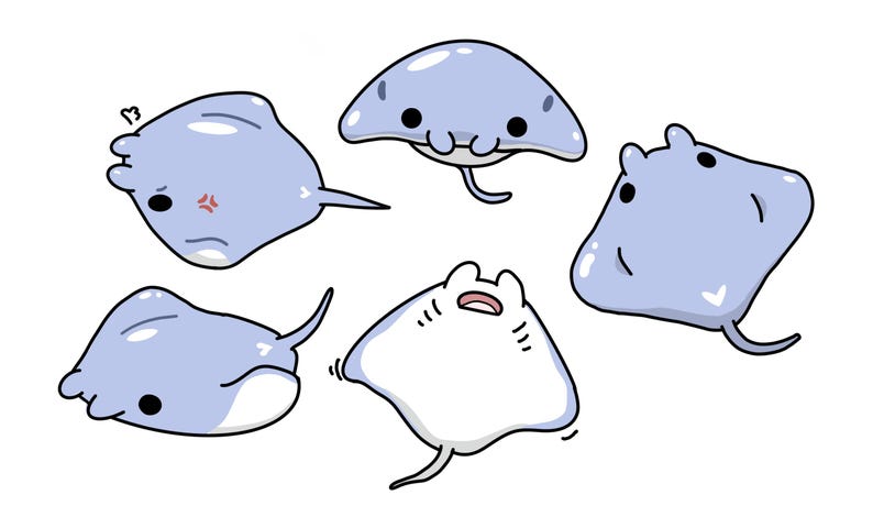 Cute Stingray Sticker Set Adorable Sea Life Vinyl Decals - Etsy