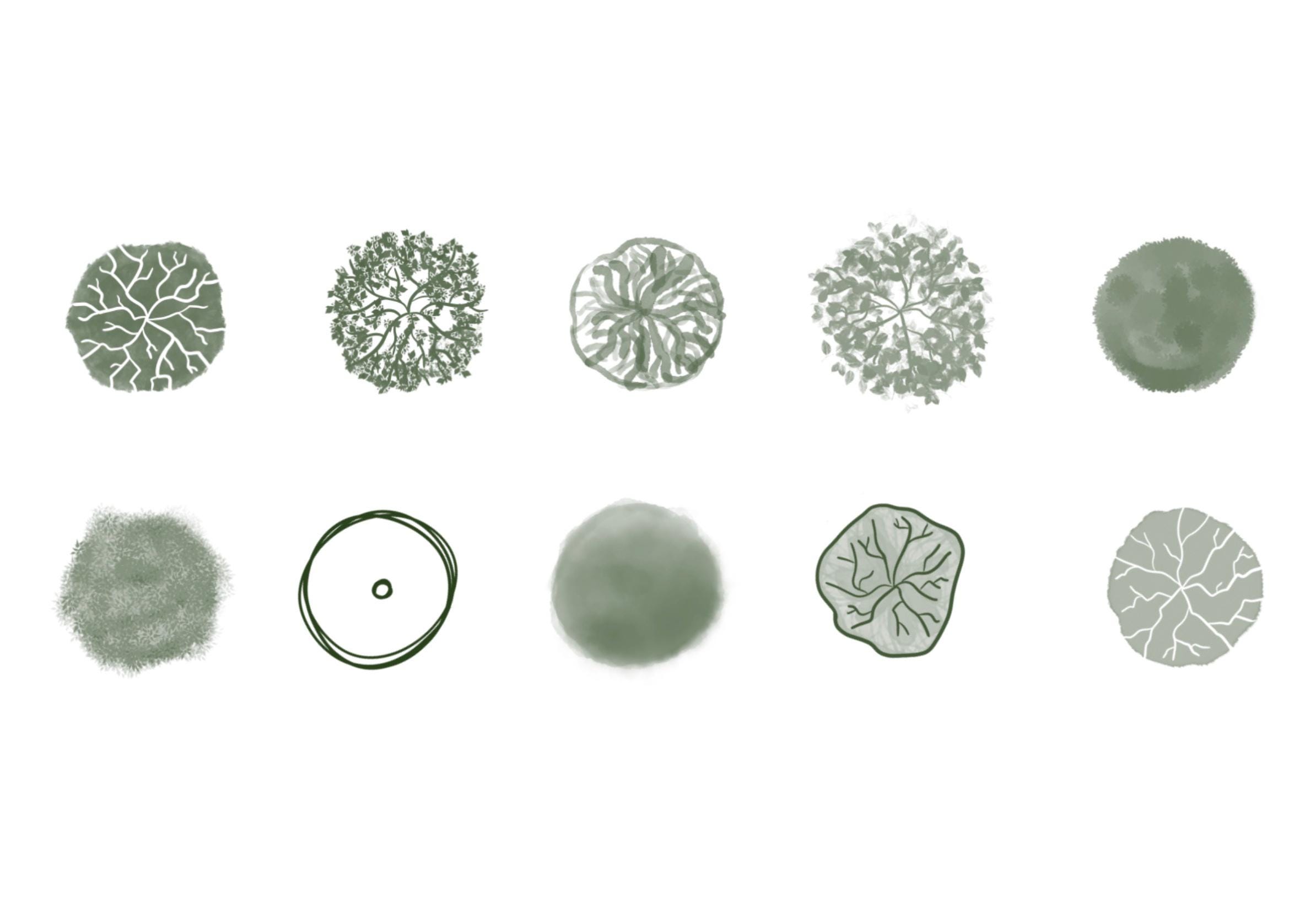 Top-view Tree Brush for Procreate and Autocad - Perfect for ...