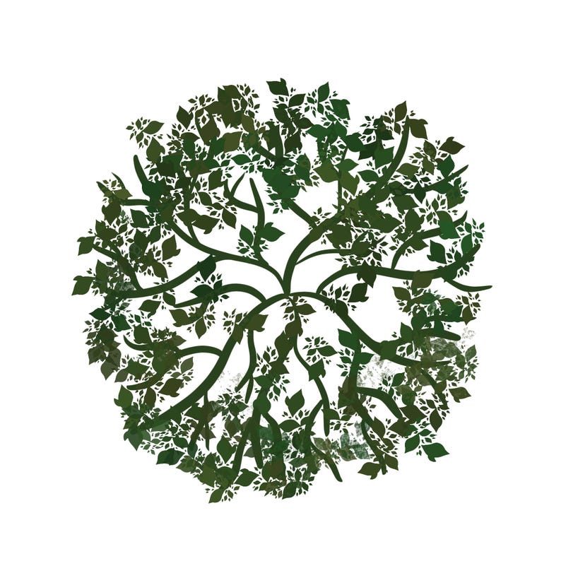 Top-view Tree Brush for Procreate and Autocad - Perfect for ...