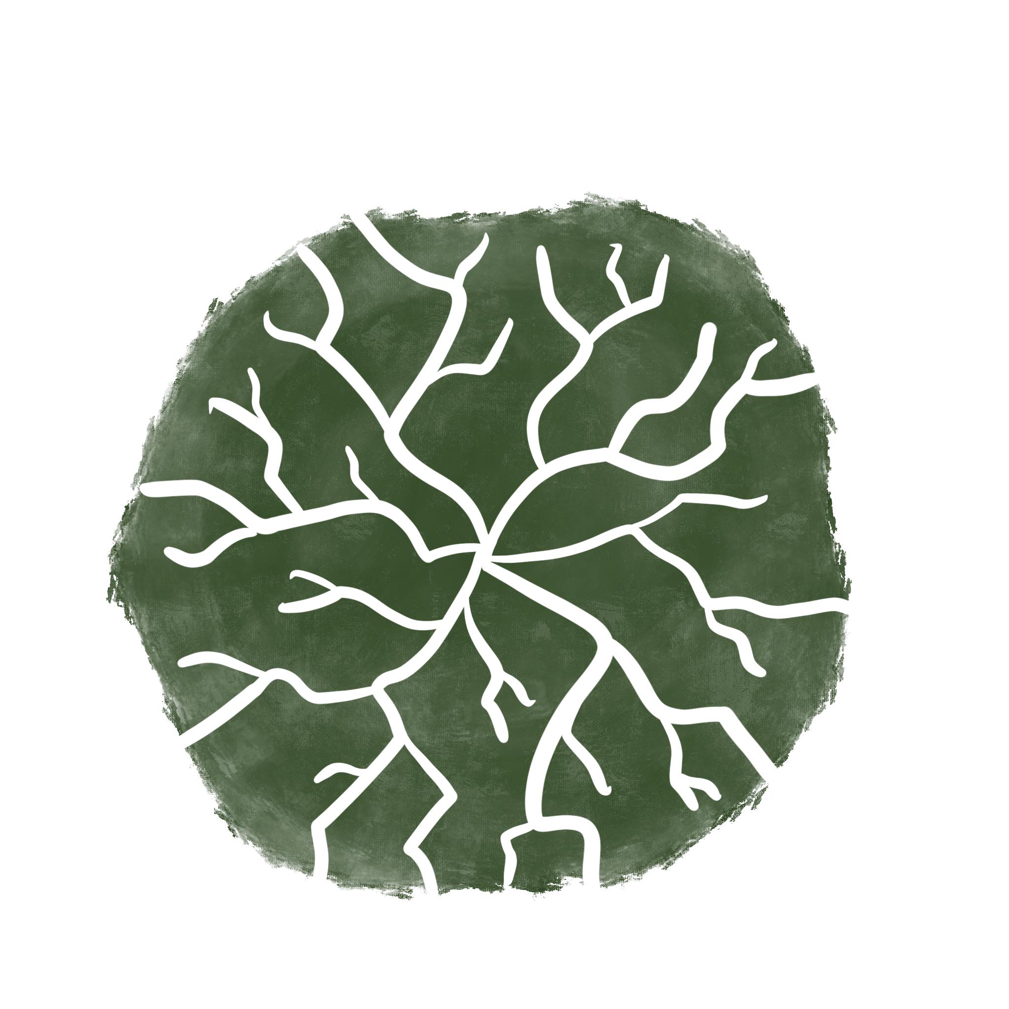 Top-view Tree Brush for Procreate and Autocad - Perfect for ...