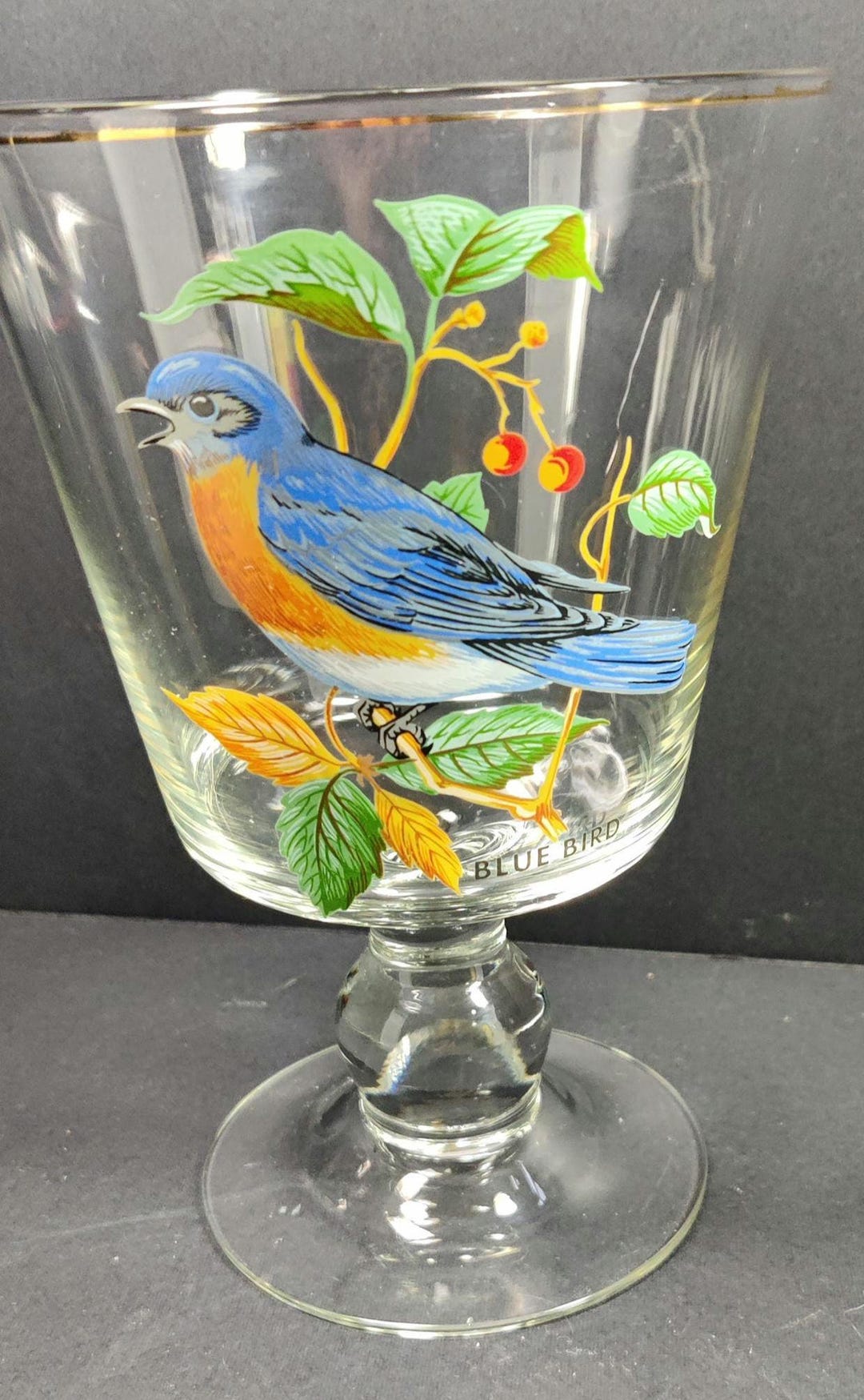 Hand Painted Bluebird Glass Goblet - Etsy
