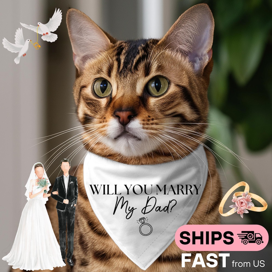 Cat Proposal Bandana | Will You Marry My Dad Cat Bandana | Engagement ...