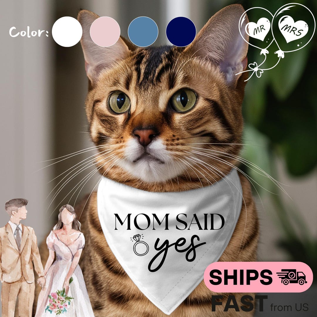 Wedding Cat Bandana Mom Said Yes | Wedding Announcement Cat Bandana ...
