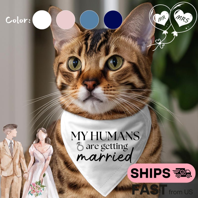 Cat Wedding - Etsy
