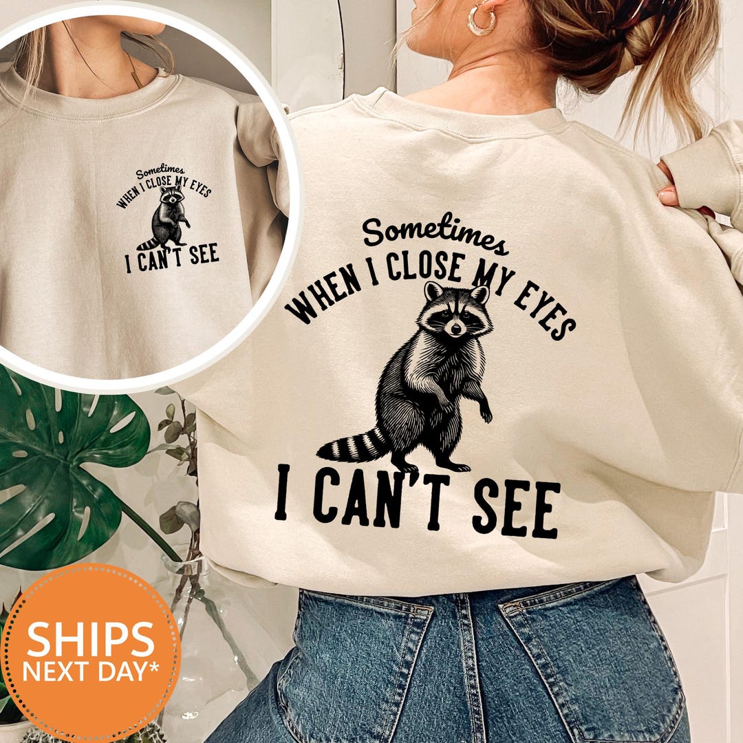 Funny Raccoon Sweatshirt, Trash Panda Humor Pullover, Sarcastic Animal ...