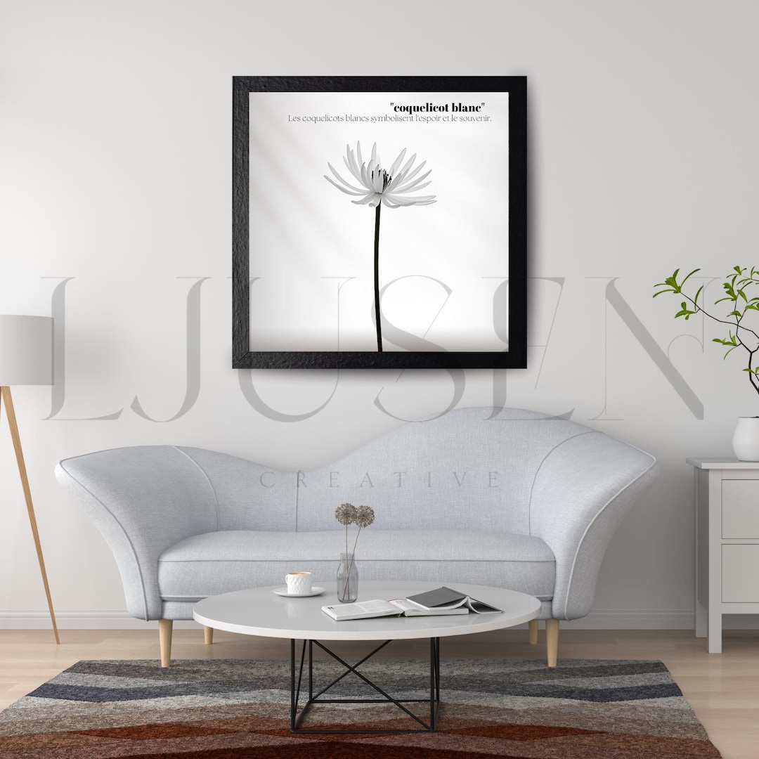 Coquelicot Blanc a Symbol of Remembrance - Etsy