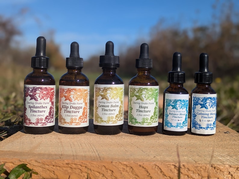 Klip Dagga Organic Tincture | Headache Relief | Herbal Supplement (2 Oz ...