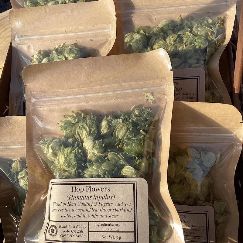 Hop Cone - Etsy