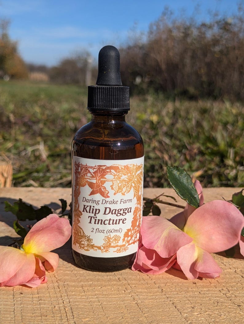 Klip Dagga Organic Tincture - Etsy