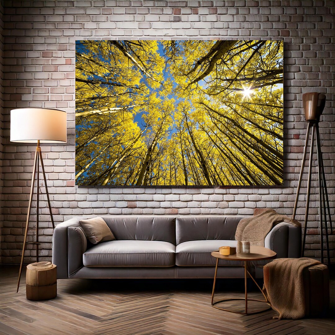 Real Nature View, Forest Canvas, Green Forest, Sky & Trees, Canvas ...