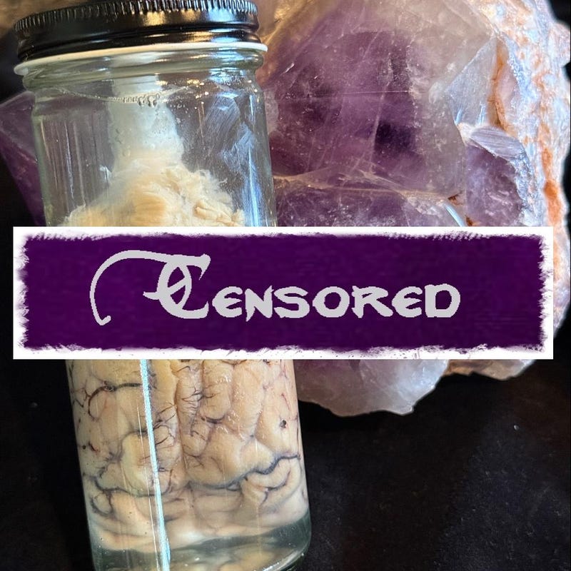 Wet Specimens - Etsy