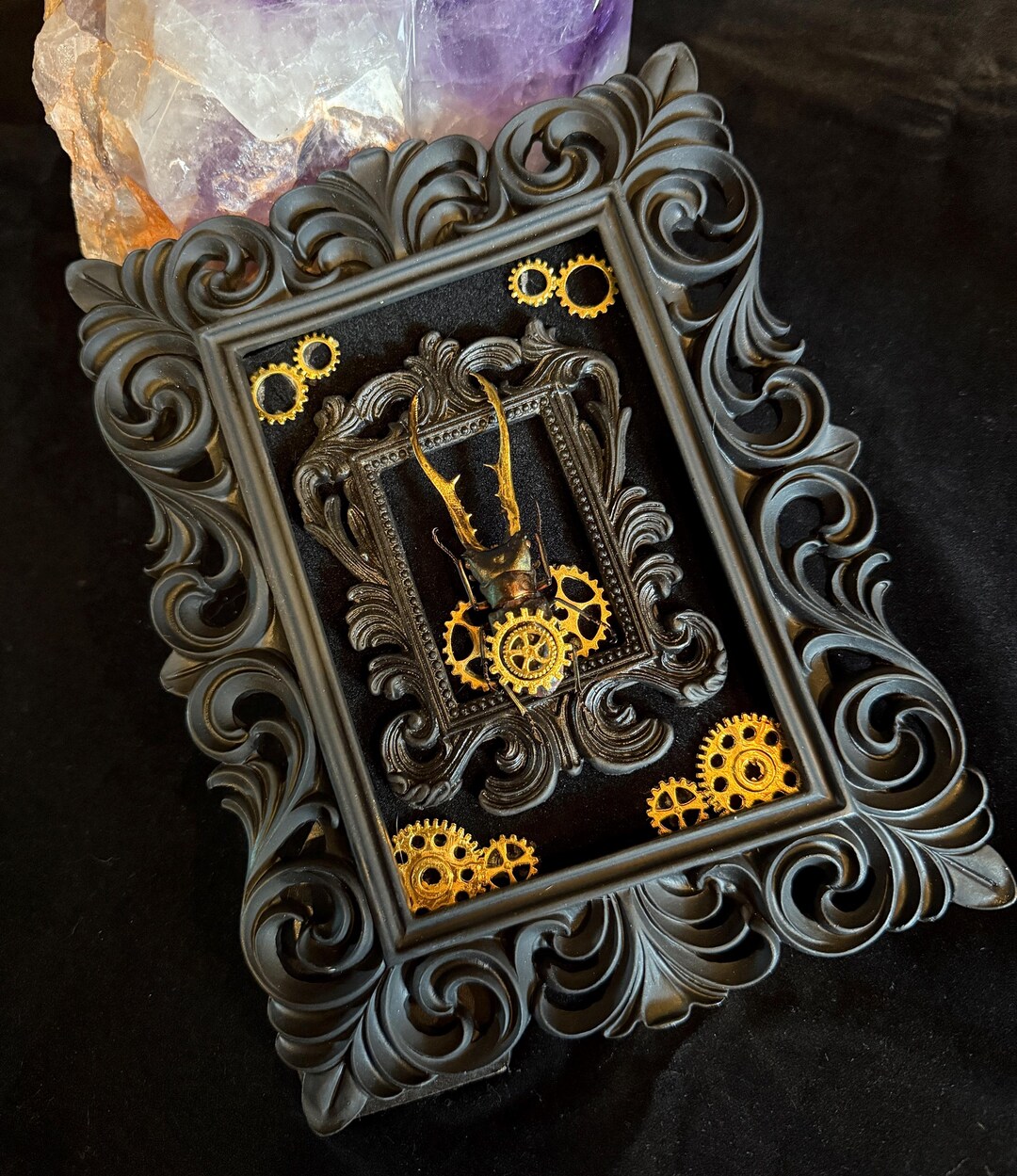 Double Framed Gilded Beetle Art Piece - Steam Punk - Oddities - Witch ...