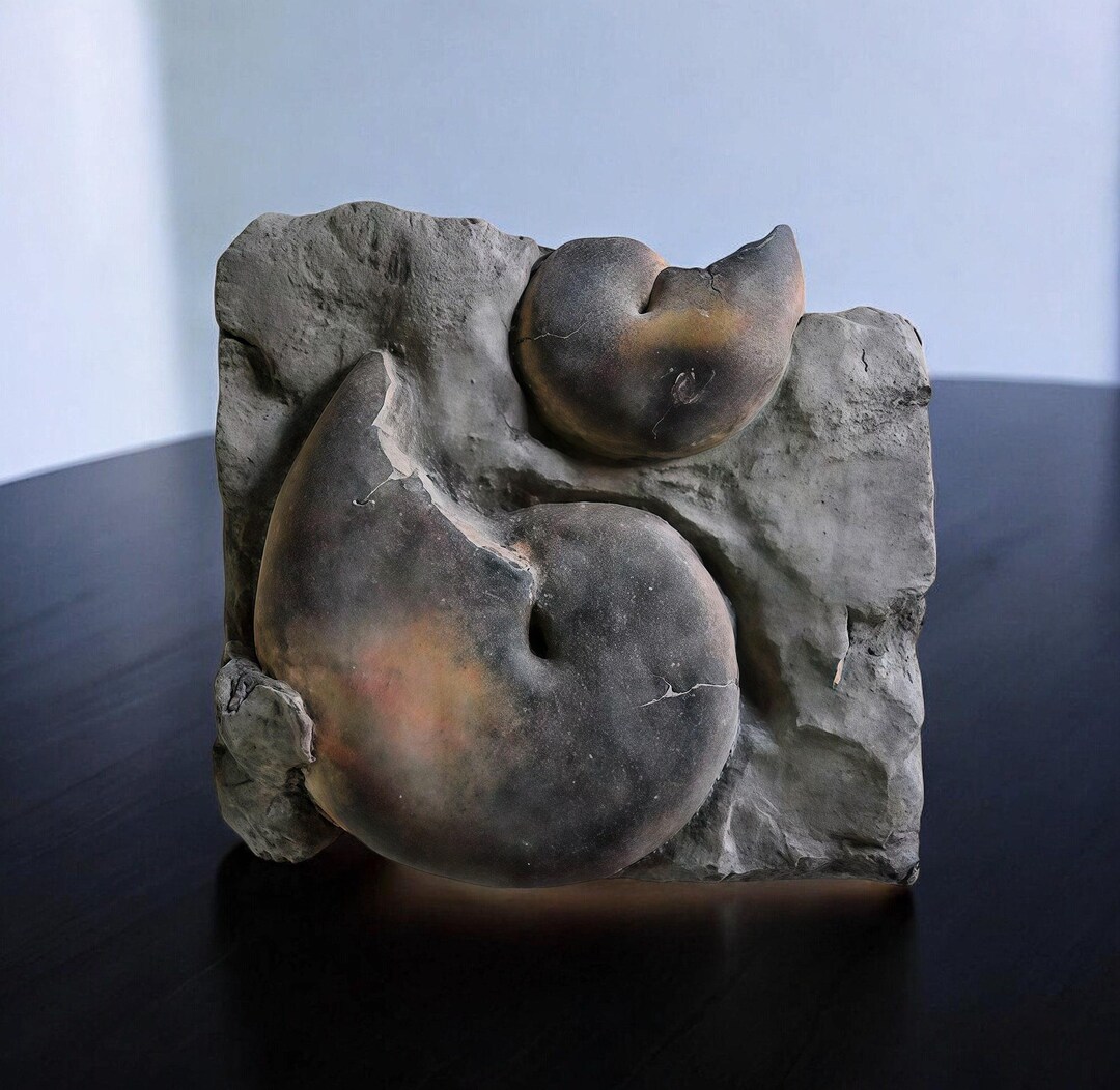 Resin Prehistoric Fossil Wall Decor, Ancient Animal, Insect, and ...