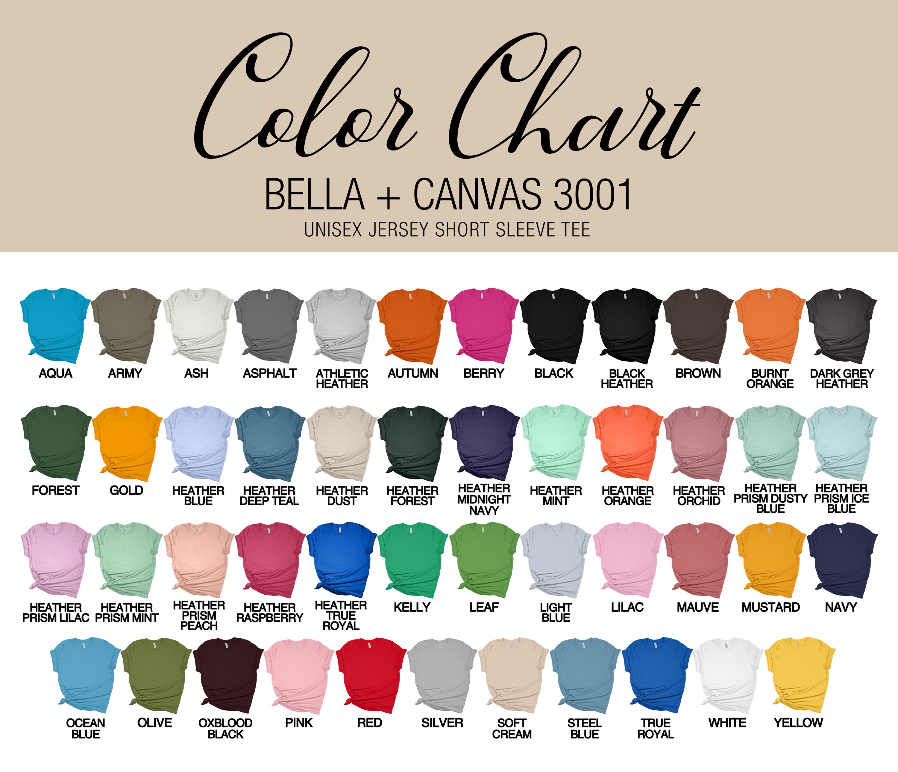 Funny Teacher T-shirt, Muggle Teacher Shirt, Hogwarts Humor Tee, Gift ...