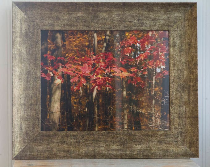 Fall Leaves Framed Photo, Nature Photography Print, Red Leaf Woodland ...