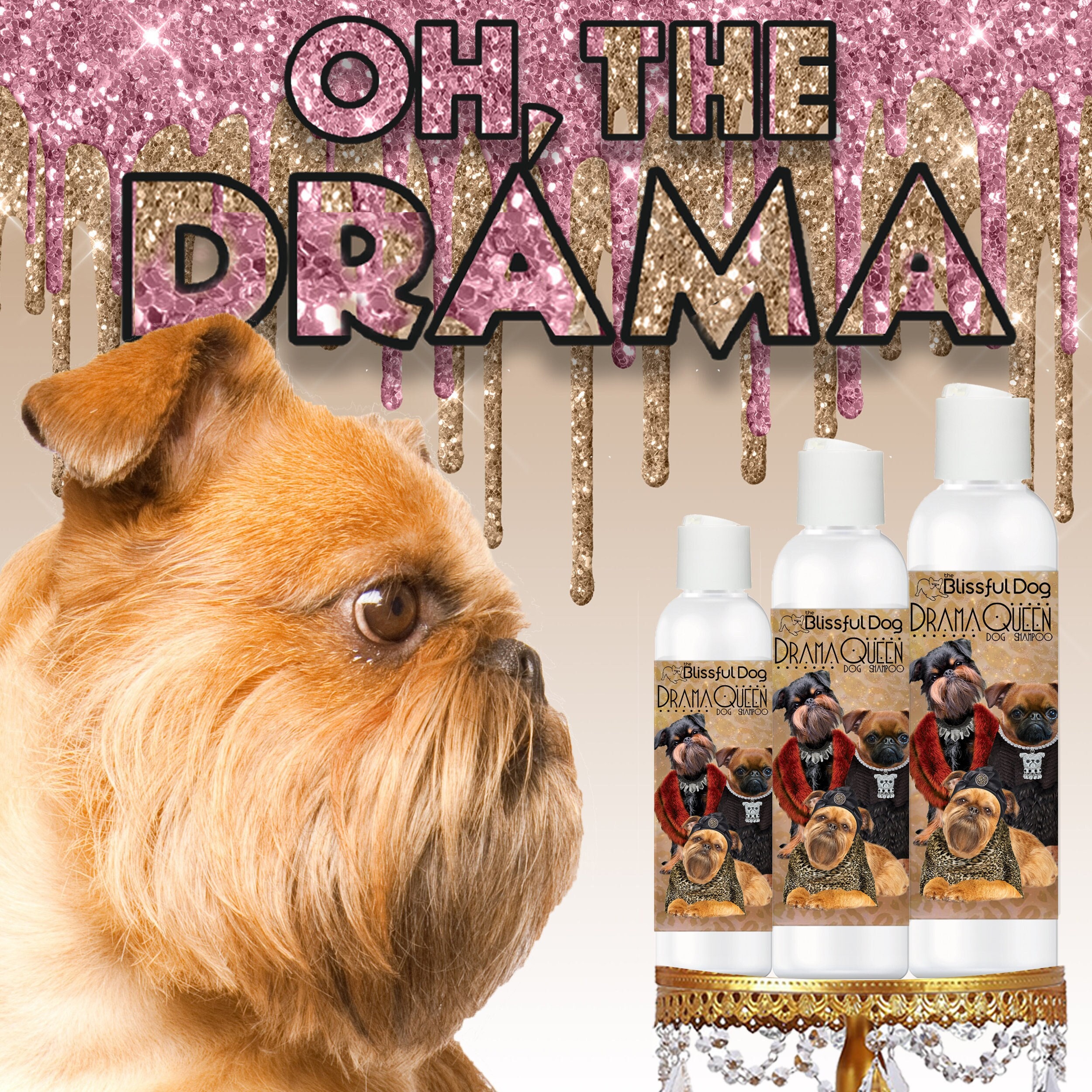 Why Does My Brussels Griffon Itch