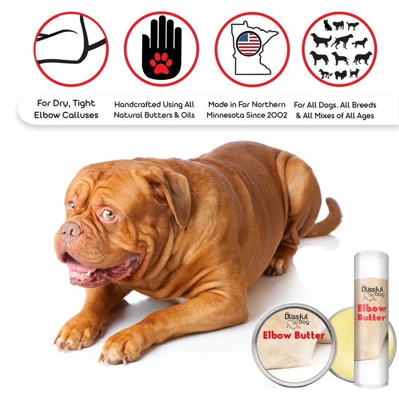 Cocker Spaniel Essential Care Combo Handcrafted Balms for Dry Dog Noses ...
