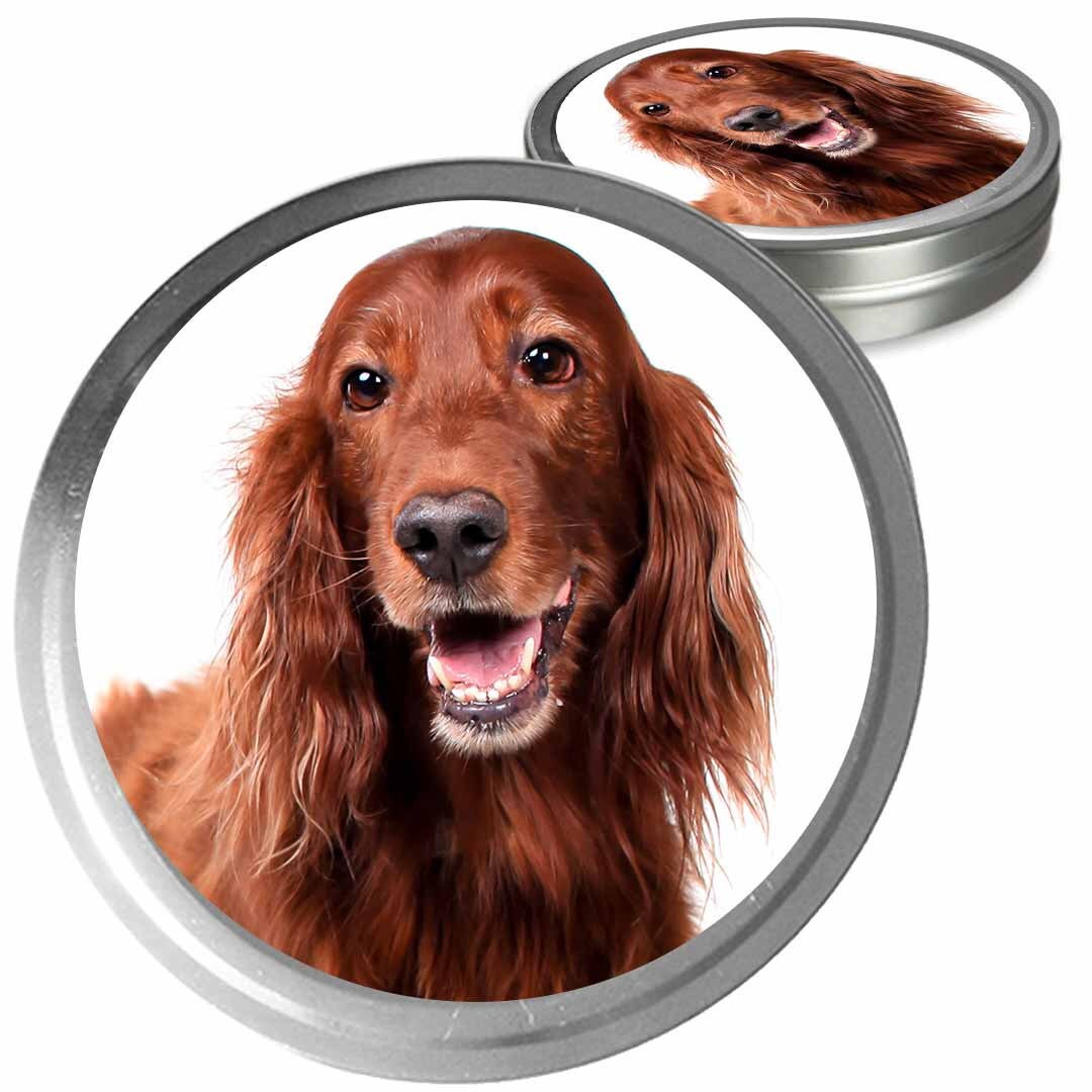 Irish Setter Essential Care Combo Handcrafted Balms for Dry Dog Noses ...