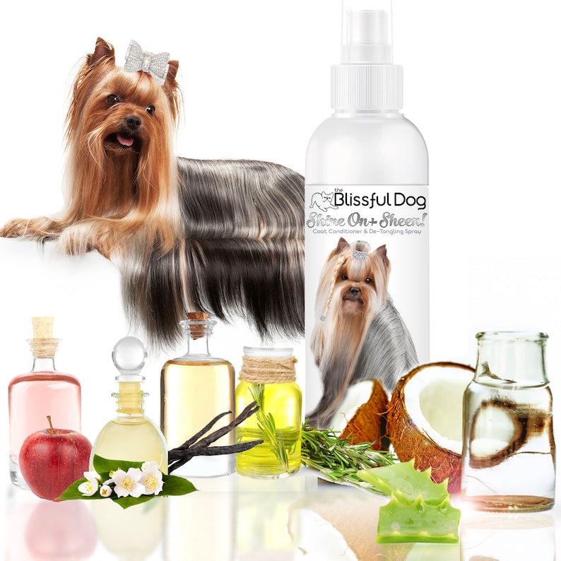 Blissfully Clean Dogs SHINE-ON + SHEEN Dog Coat Spray Leave-in ...