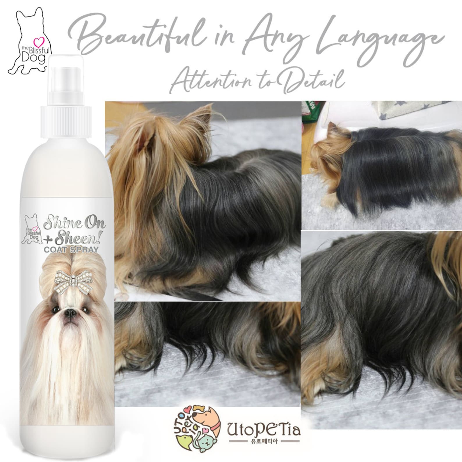Blissfully Clean Dogs SHINE-ON + SHEEN Dog Coat Spray Leave-in ...