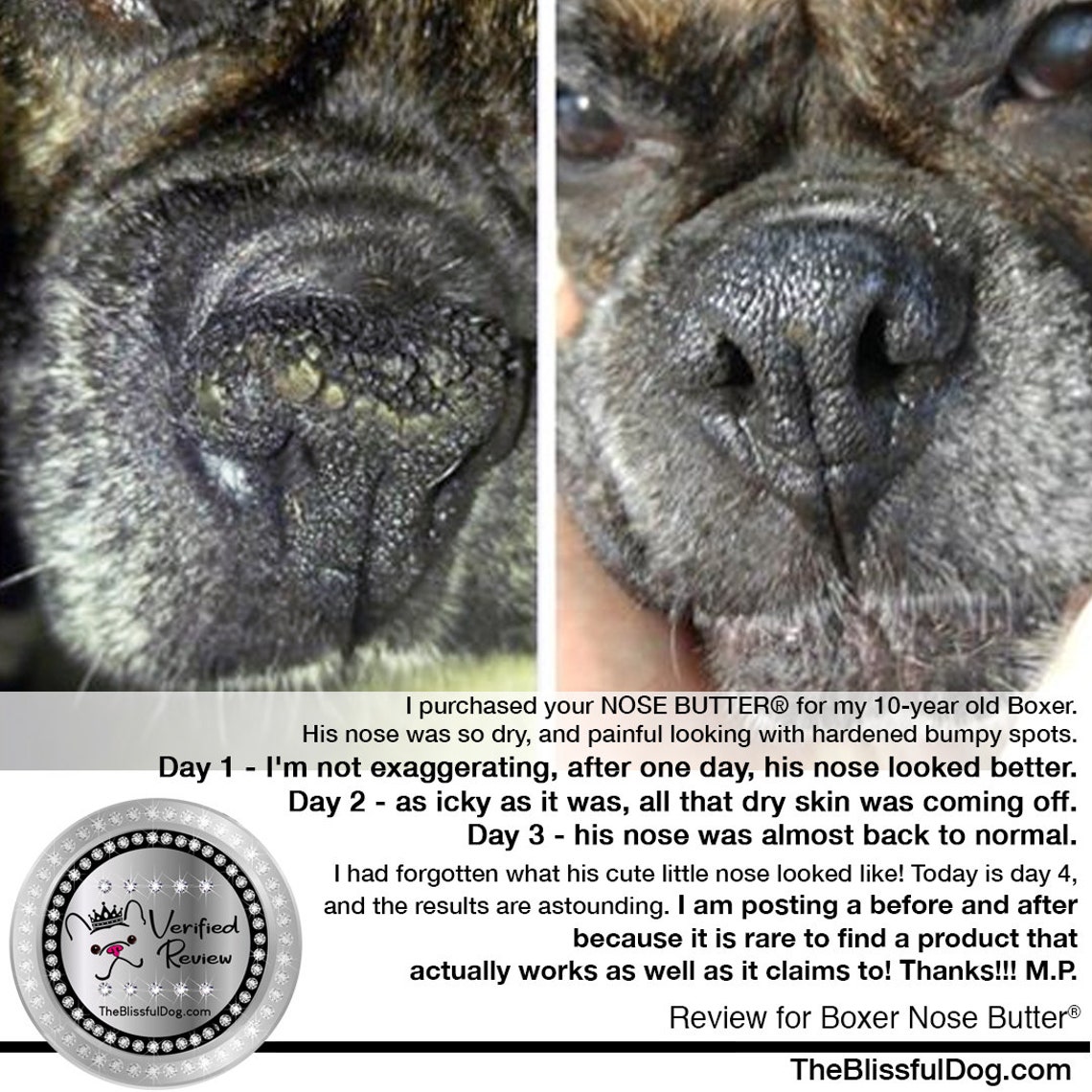 Boxer Nose Butter® Handcrafted in Minnesota Using All Natural | Etsy