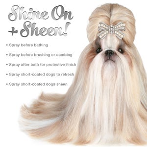 Blissfully Clean Dogs SHINE-ON SHEEN Dog Coat Spray Leave-In | Etsy