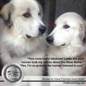 Great Pyrenees Nose Butter® Handcrafted in Minnesota All - Etsy