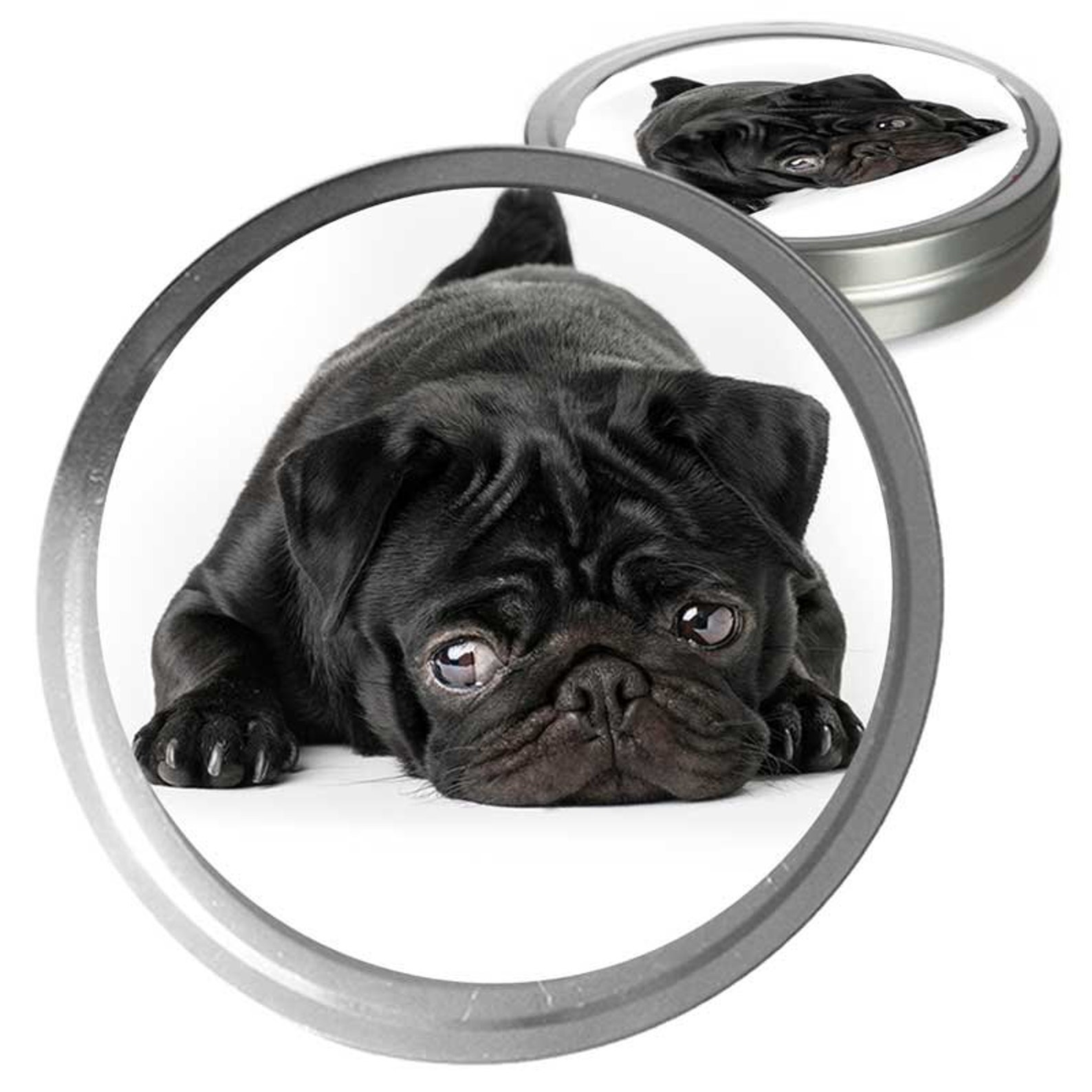 Pug Essentials Care Combo for Dry Pug Noses, Rough Paws and Itchy Skin ...