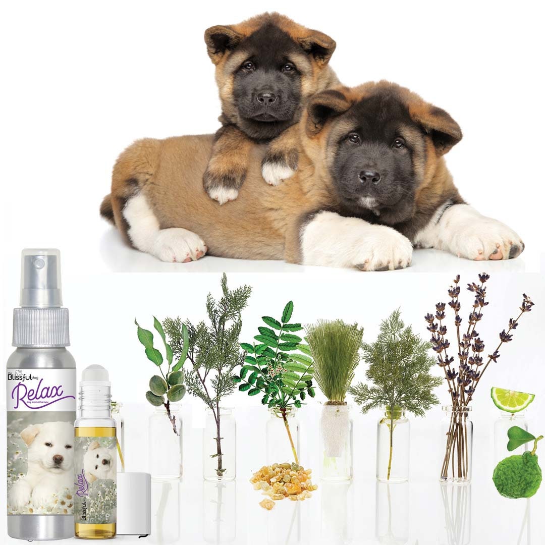 Akita Relax Dog Aromatherapy Roll-on & Spray for Thunderstorm - Etsy