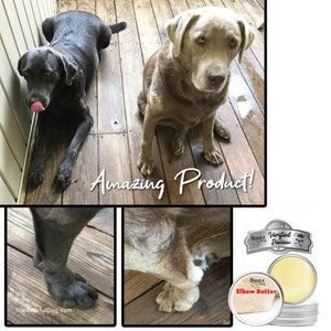 Labrador Nose to Toes Tube Combo for Dry Noses, Rough Paws, Elbow ...