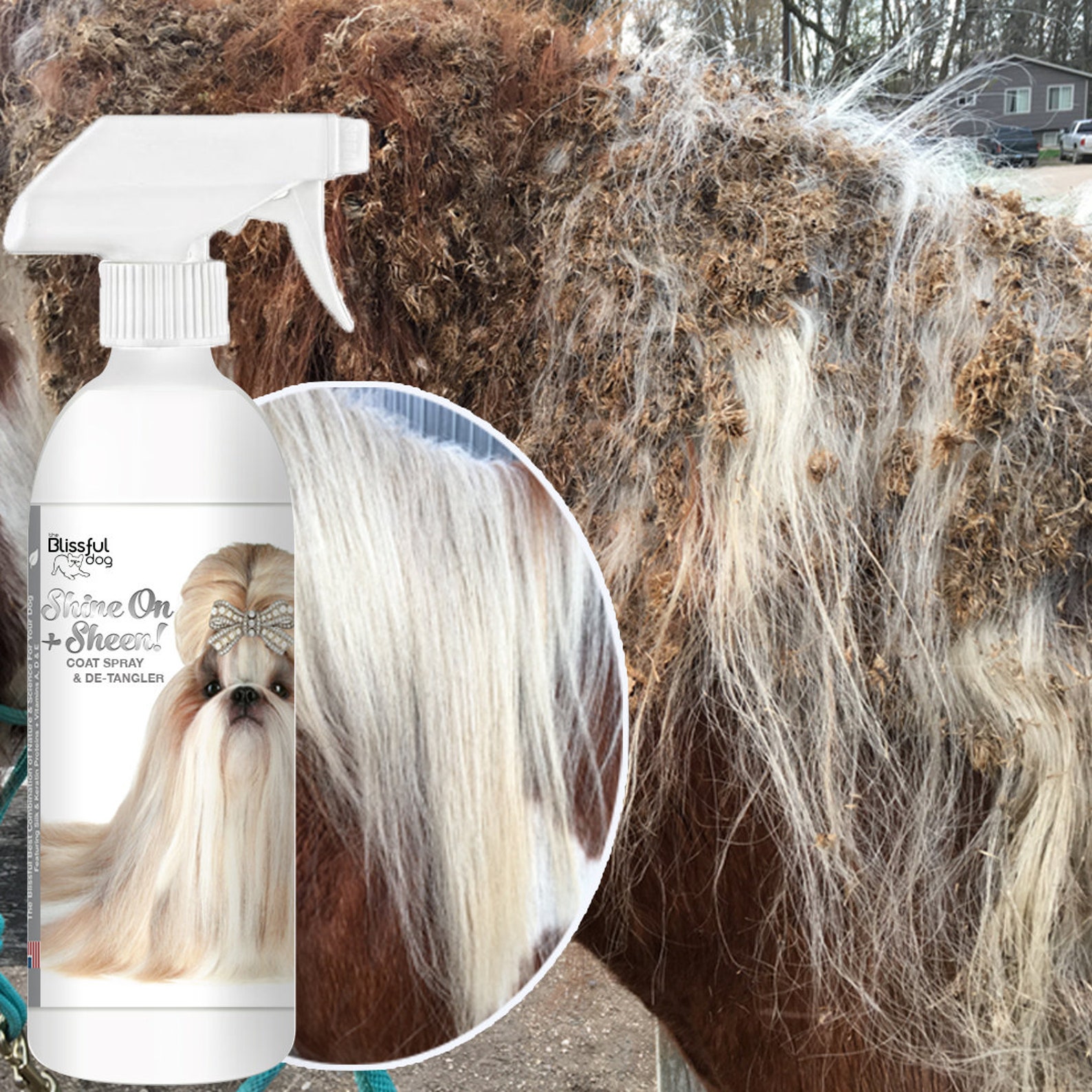 Blissfully Clean Dogs SHINE-ON + SHEEN Dog Coat Spray Leave-in ...