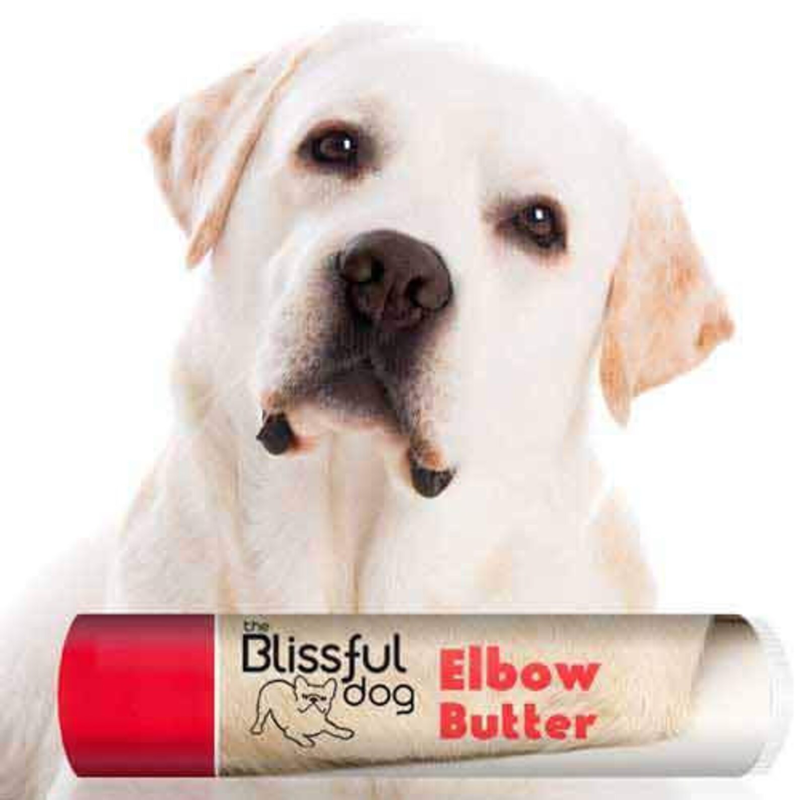 Frenchie Nose to Toes Tube Combo for Dry Noses Rough Paws | Etsy